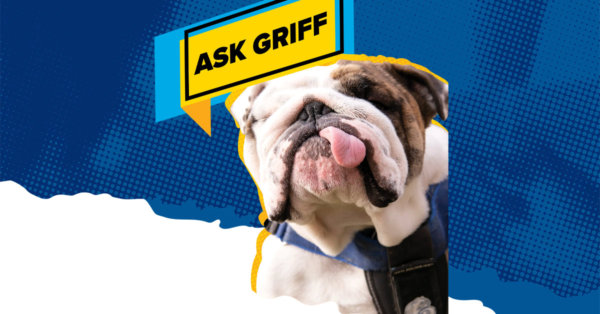 Ask Griff